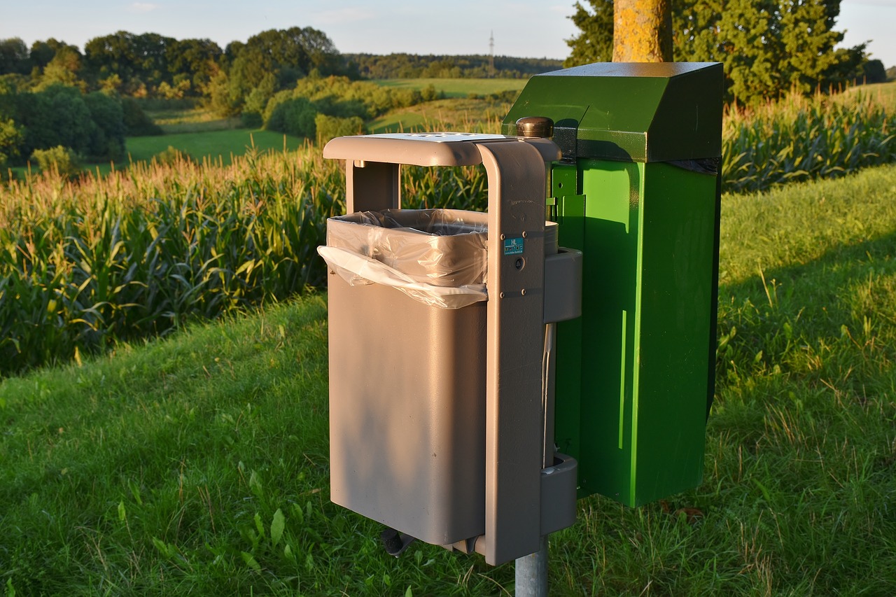 10 simple steps to reduce our waste - Nutrition and Innovation